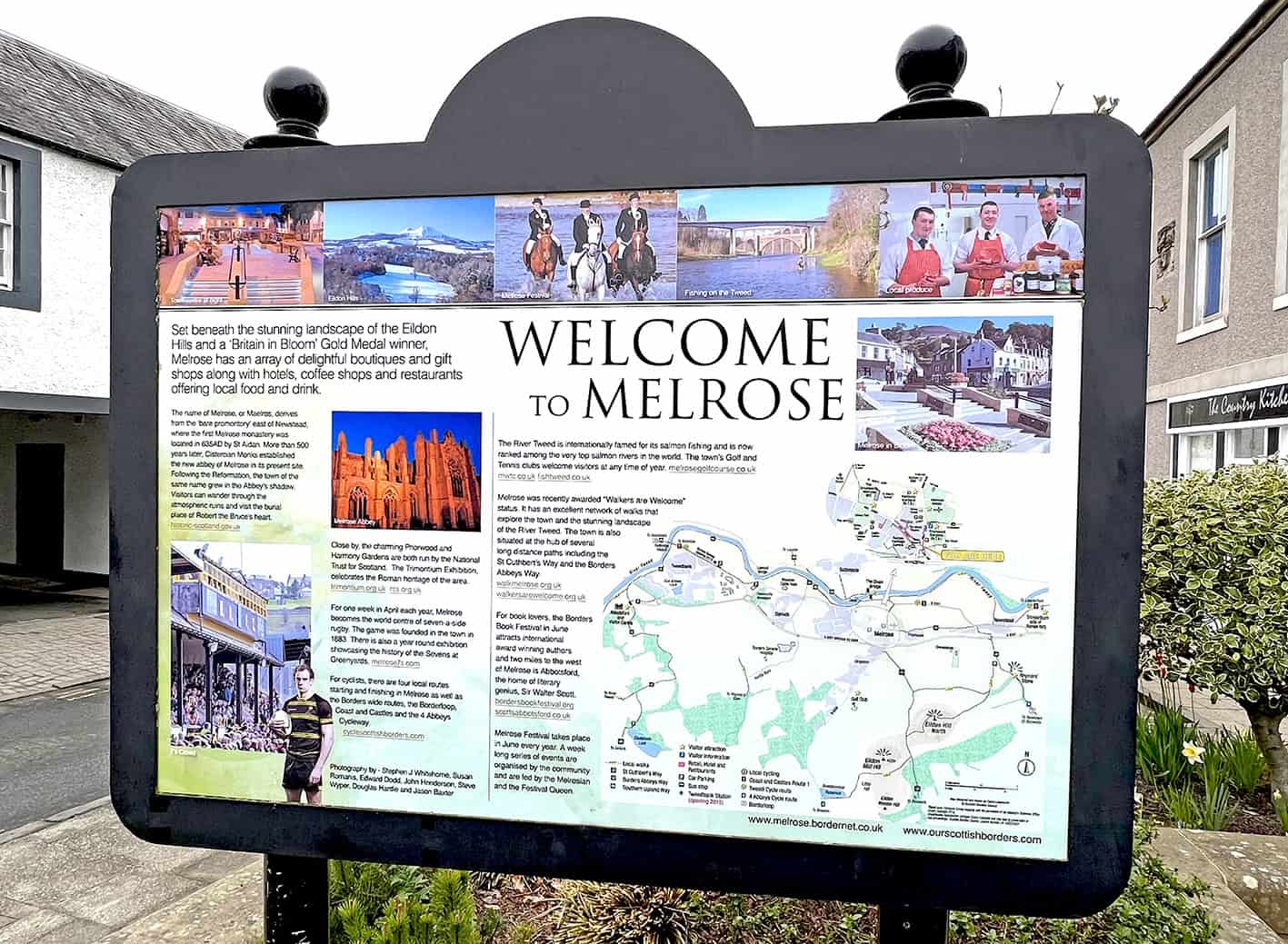 Melrose in Bloom - TDP
